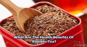 11 Incredible Benefits Of Rooibos And Rooibos Tea