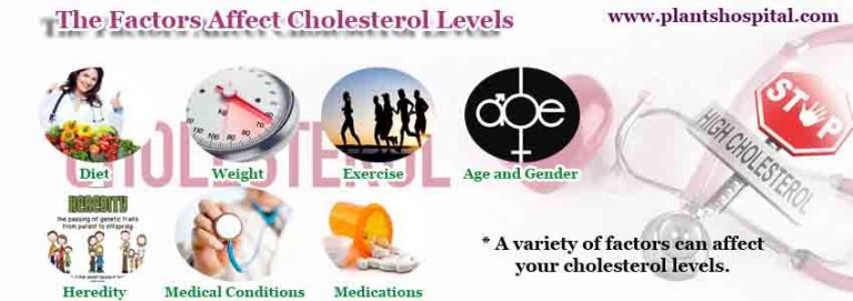 High Cholesterol: Types, Causes, Diagnosis, and Treatment