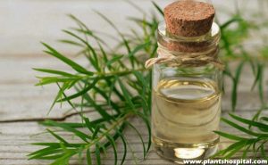 Easy Home Cures For Toothache: Treatment & Remedies