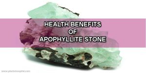 Apophyllite Stone -18 Amazing Health Benefits