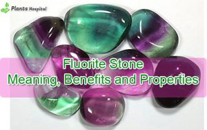 Fluoride Stone: Meaning, Benefits and Properties