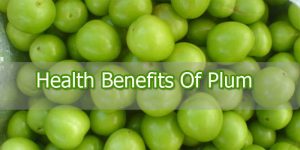 24 Wonderful Health Benefits Of Plum: Uses, Warnings And More