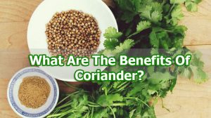 Coriander And Seed: Health Benefits, Uses, Damages And Warning