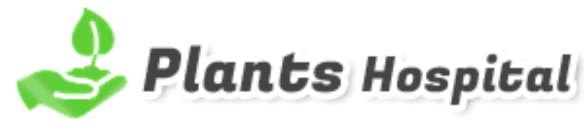 15 Best Health Benefits Of Carob And Carob Tea: Uses & Warnings