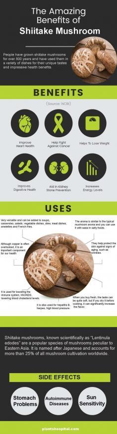 What Are The Health Benefits Of Shiitake Mushroom?