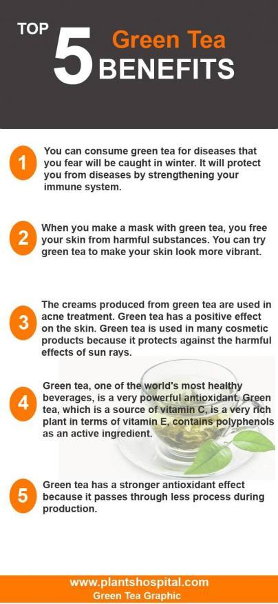 Green Tea: Health Benefits, Uses, Types,Damages And Recommendations
