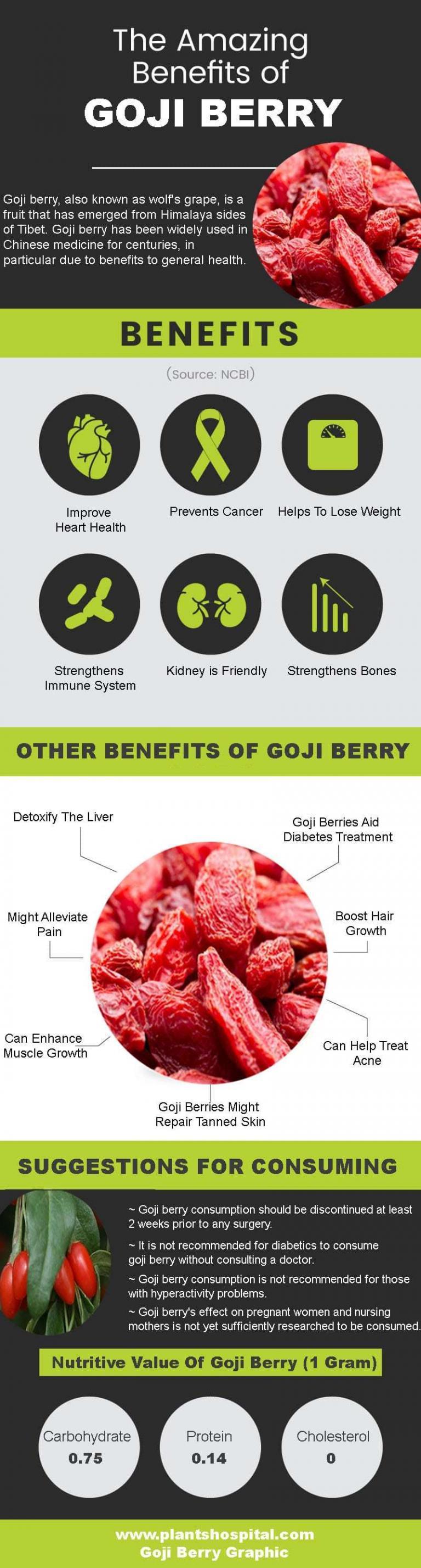 Goji Berry: Health Benefits, Uses And Suggestions (Reasons to Eat Goji ...