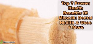 Top 7 Proven Health Benefits Of Miswak: Dental Health & Uses & More