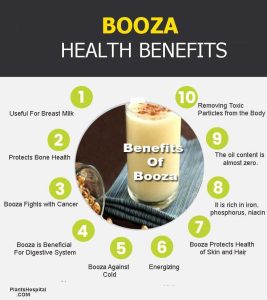 8 Best Health Benefits Of Booza: Uses & Warnings & Recommendations