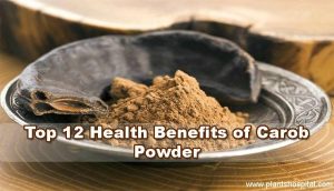 15 Best Health Benefits Of Carob And Carob Tea: Uses & Warnings