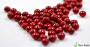 Coral Stone: Top 7 Wonderful Benefits & Uses & Meaning & More