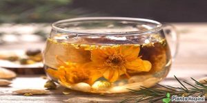 14 Wonderful Health Benefits Of Jasmine Tea: Recipe, Uses & More