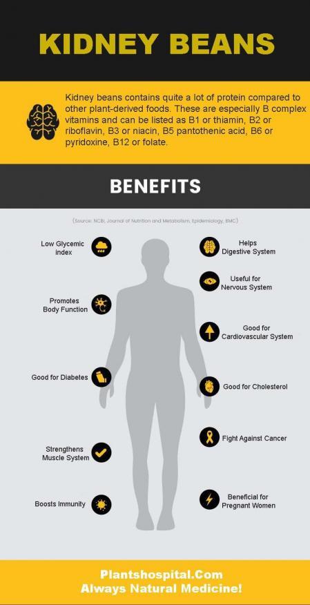 13 Incredible Health Benefits of Kidney Beans + Uses & Warnings