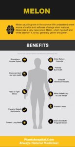 Top 14 Best Health Benefits of Melon & Melon Seed