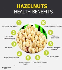 Hazelnuts: Health Benefits & Nutrition Facts, Can You Eat Hazelnuts?