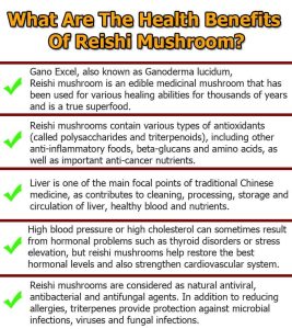 7 Proven Health Benefits Of Ganoderma Lucidum (Reishi Mushroom)