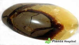 17 Amazing Health Benefits Of Septarian Stone