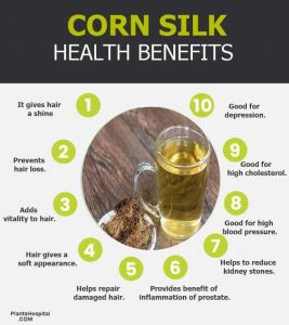 9 Proven Health Benefits Of Corn Silk (Stigma Maydis) & How to Brew?