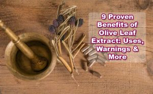 9 Proven Benefits of Olive Leaf Extract: Uses, Warnings & More
