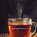 8 Best Health Benefits Of Damiana Tea: Uses, Warnings & More