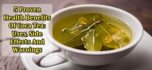 5 Proven Health Benefits Of Coca Tea: Uses, Side Effects And Warnings