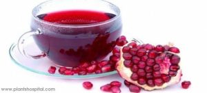Pomegranate Tea: Health Benefits Uses, Calories And Side Effects