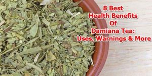8 Best Health Benefits Of Damiana Tea: Uses, Warnings & More