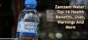Zamzam Water: Top 16 Health Benefits, Uses, Warnings And More