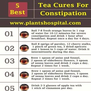 10 Proven Herbs And Tea to Relieve Constipation: 10 Natural Remedies