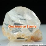 12 Best Amazing Health Benefits Of Moonstone